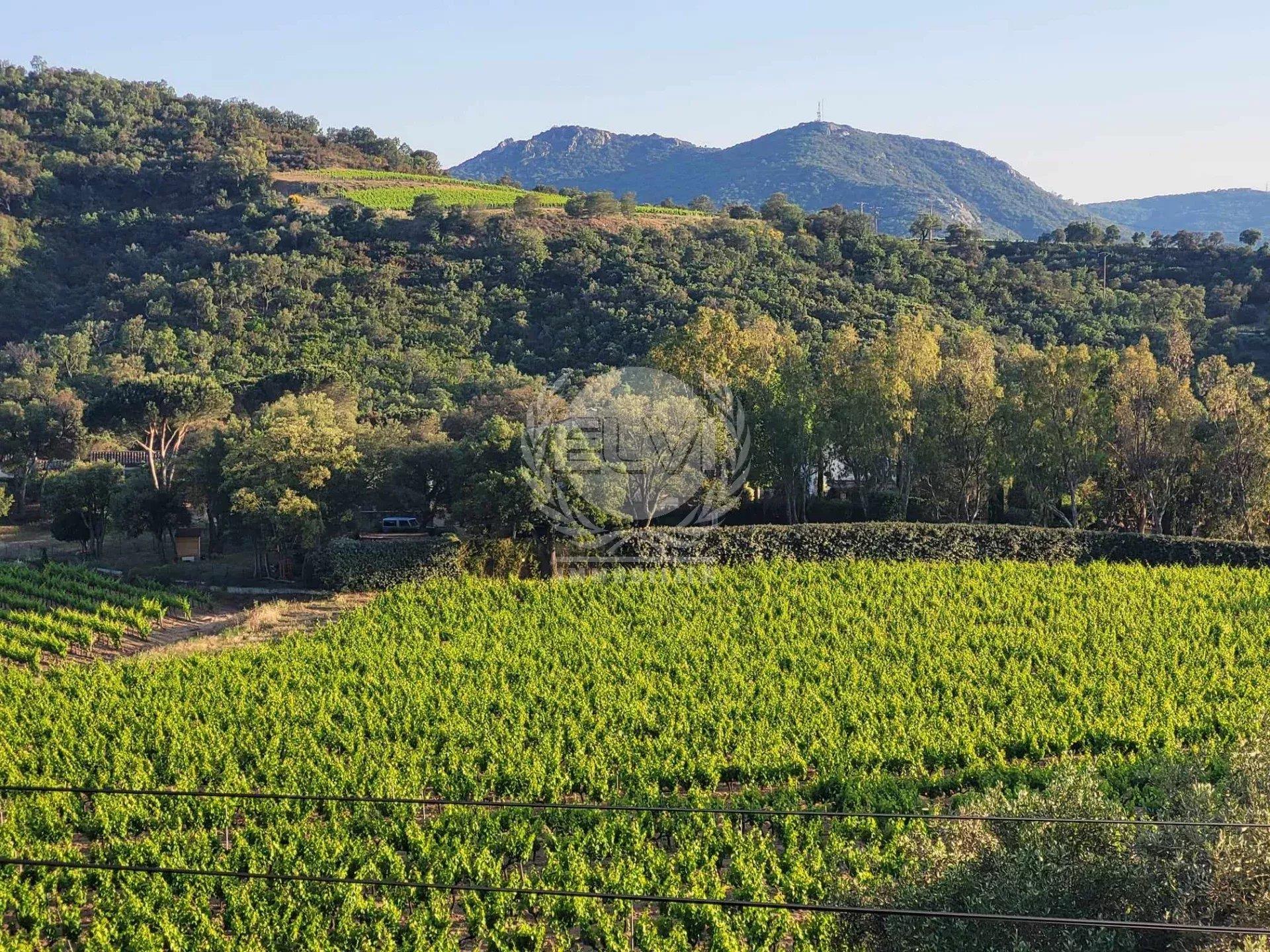 Viager sale in occupied life annuity