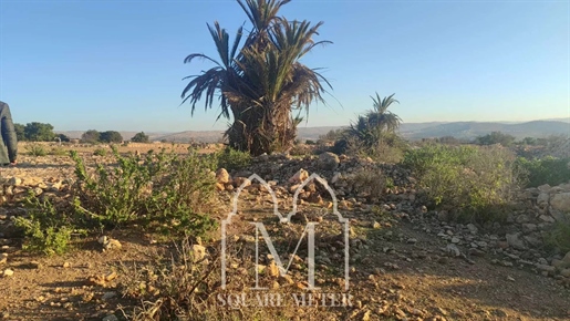 Achat terrain Maroc : 28 biens à vendre en exclusivité | Green Acres