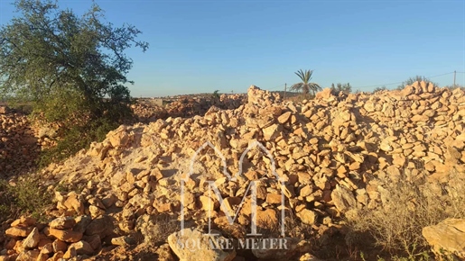 Achat terrain Maroc : 34 biens à vendre en exclusivité | Green Acres