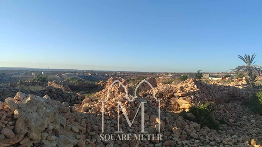 Achat terrain Maroc : 34 biens à vendre en exclusivité | Green Acres