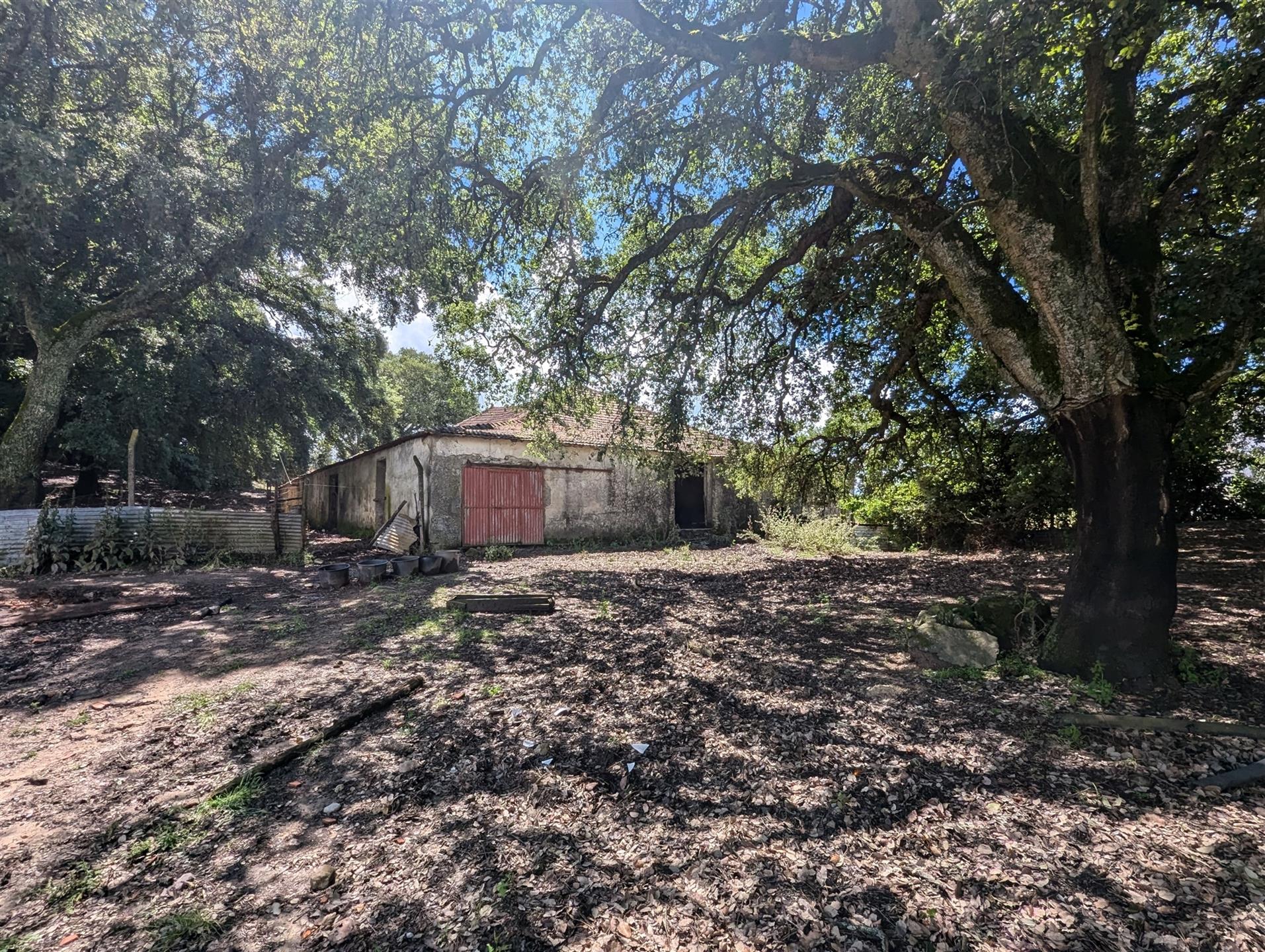 Terreno Urbano de 43000m2 em Pedrógão Grande